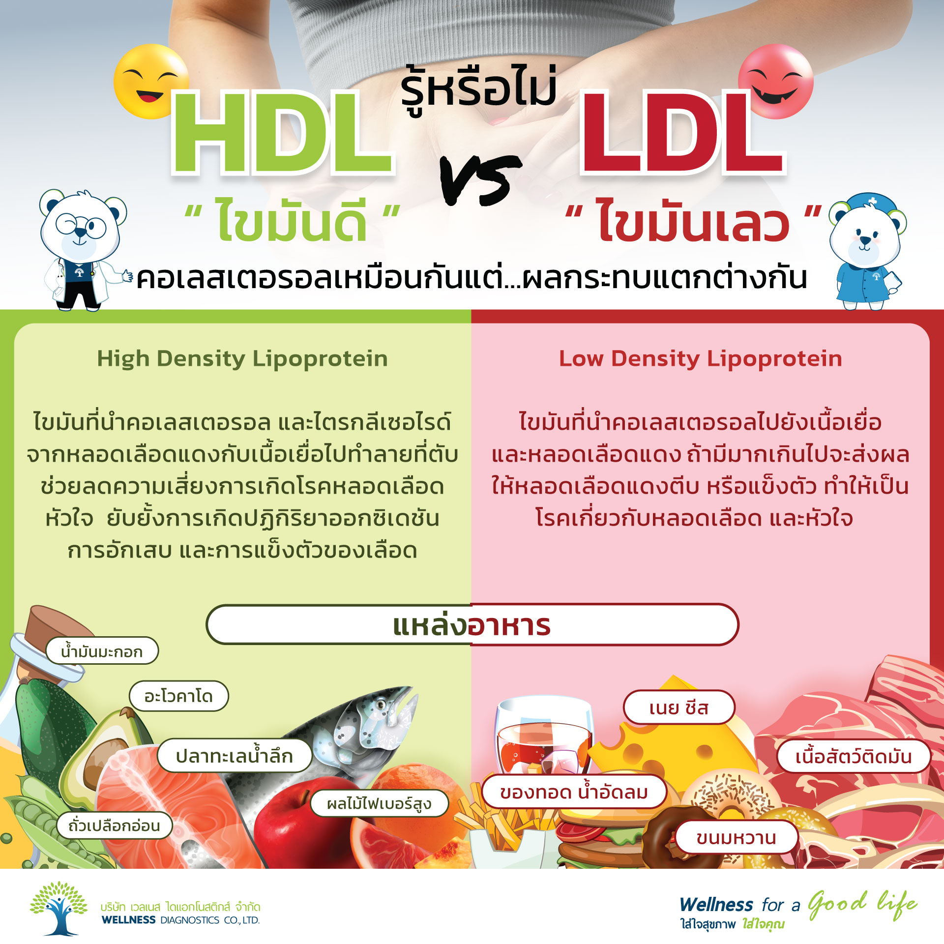 รู้หรือไม่ HDL และ LDL ต่างกันอย่างไร – Wellness Diagnostics | ตรวจ ...